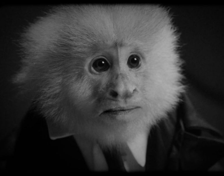 The 10 best short films streaming on Netflix