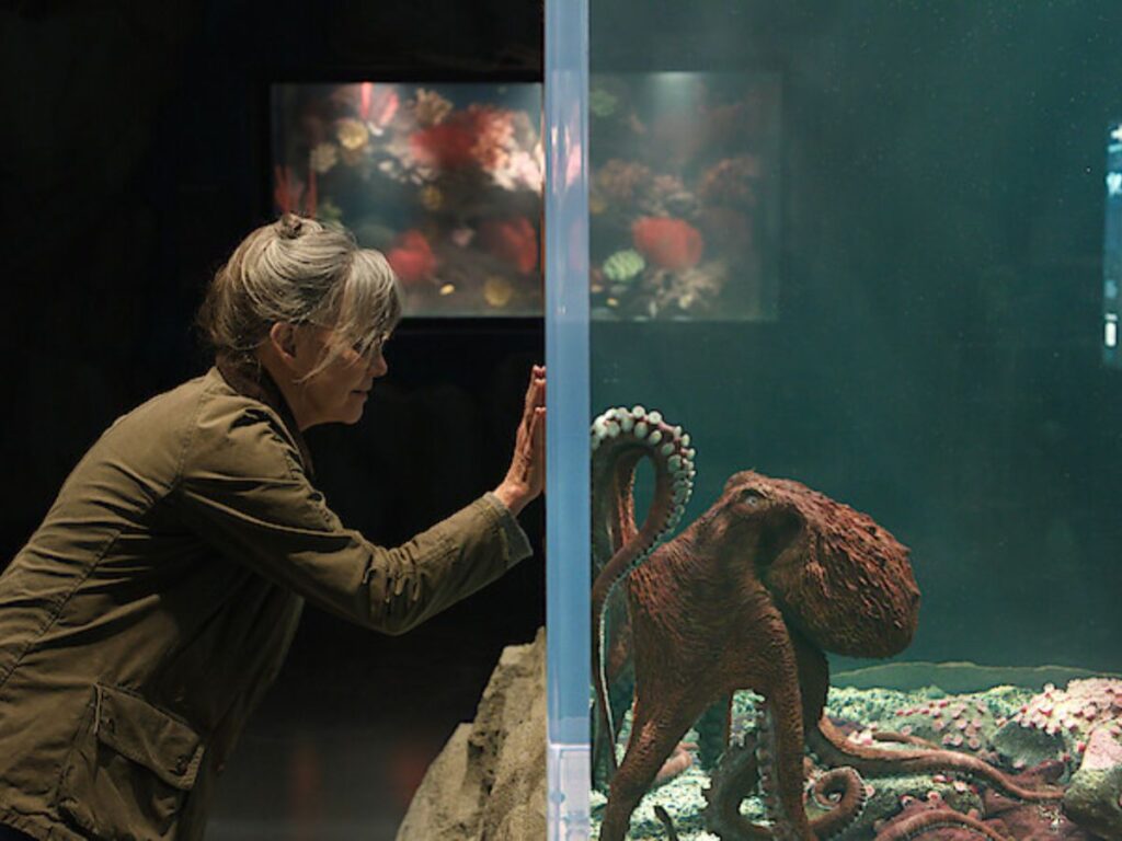 What to know about ‘Remarkably Bright Creatures’